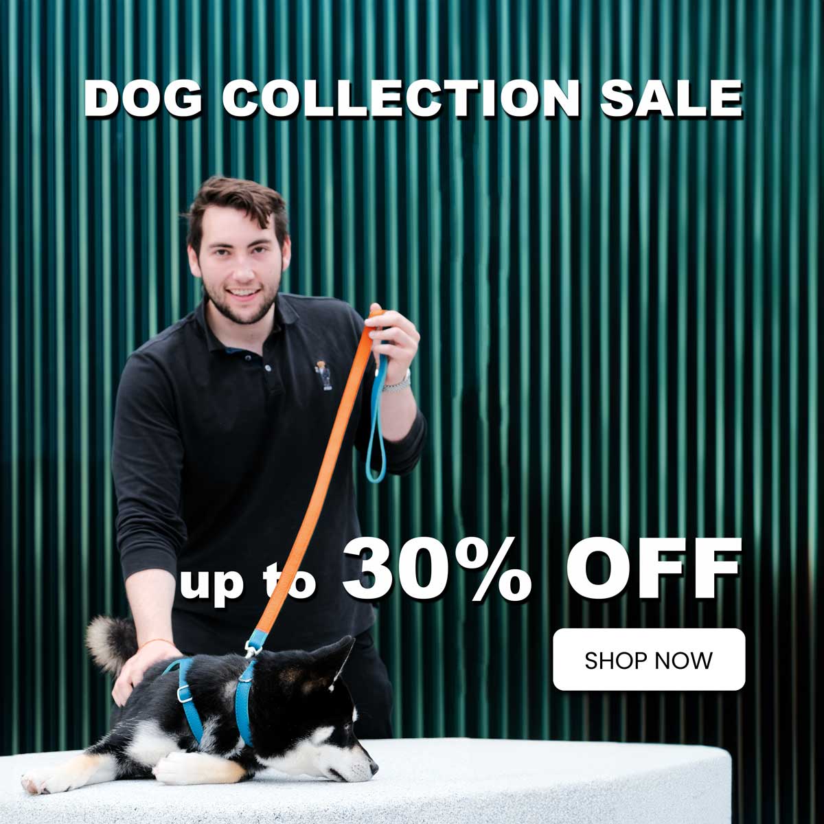 RYAN London Leather iPhone iPad MacBook Case, Sleeve and Wallet